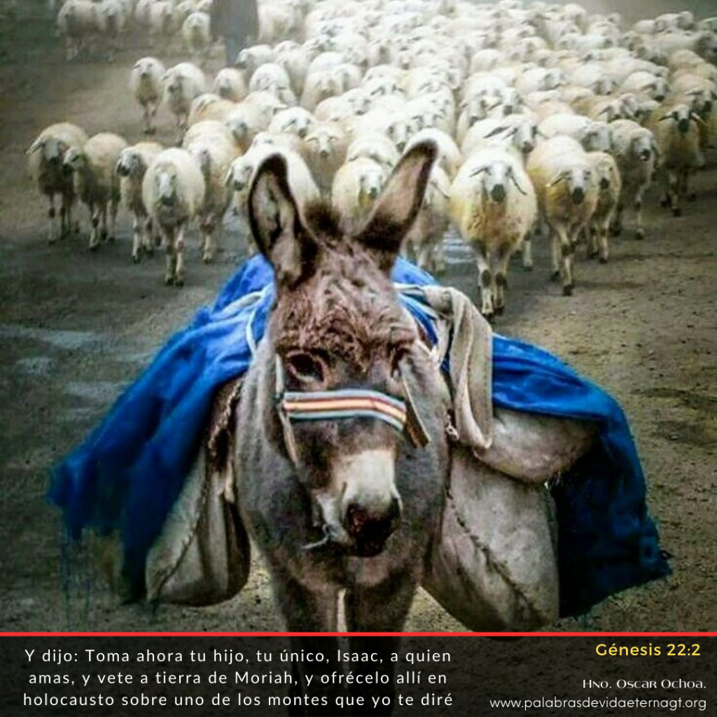 Dios prueba la fe de Abraham - Palabras de Vida Eterna