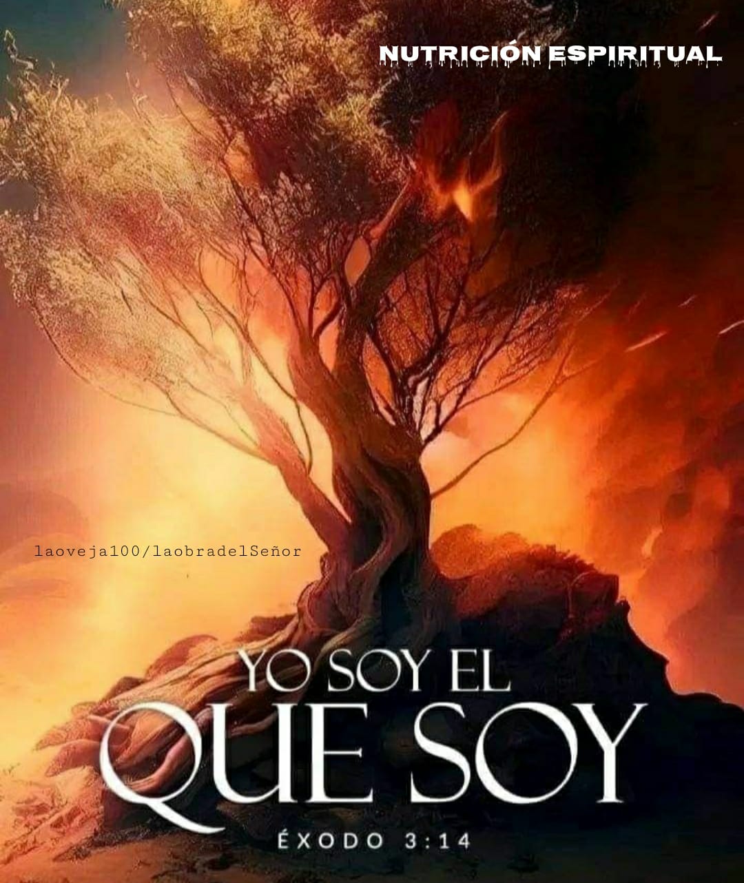 SOY EL QUE SOY - Palabras de Vida Eterna