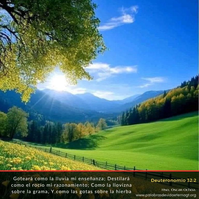 Vida por la Palabra de Dios - Palabras de Vida Eterna